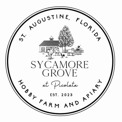 Custom Hand Drawing Logo Design, Minimalist Logo, Modern Logo ...