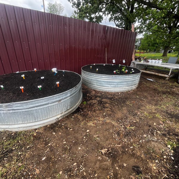 Chicken Incubation Journal, Printable Hatching Tracker, Backyard Flock ...