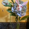 Alice in Wonderland non Talking Flowers white Rabbit Character Series ...