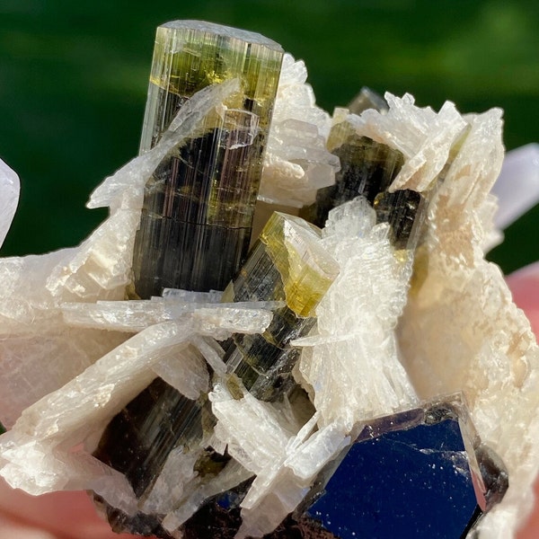 Rare All Natural Pink Laguna Agate Geode From Chihuahua Mexica - Etsy