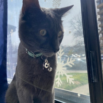 Sun and Moon Pet Collar Charm, Cat Collar Charm, Moon Dog Collar Charm ...