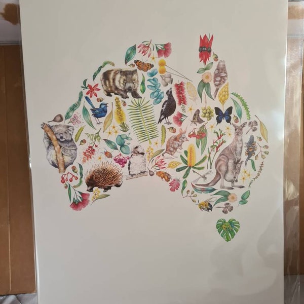 Australian Native Seed Pod Poster DIGITAL DOWNLOAD - Etsy