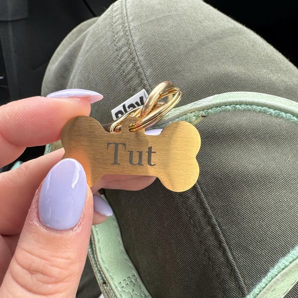 Personalized Bone Dog Tag | Thick 3mm Pet ID Tag Shaped Like a Dog Bone ...