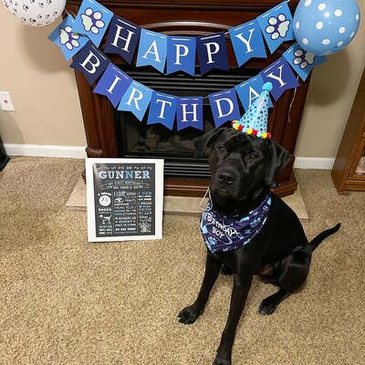 Dog Birthday Chalkboard Sign First Puppy Birthday Banner 1st - Etsy