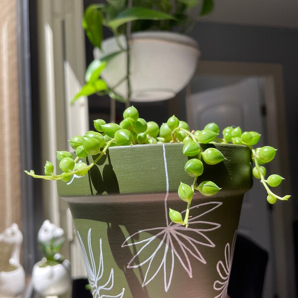 Candy Cane Mistletoe Hand Painted Pots, Terracotta Plant Pot for Indoor ...