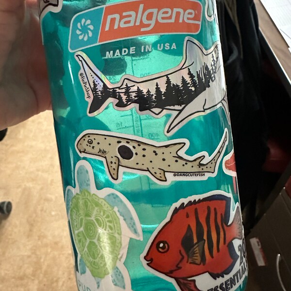 Tiger Shark Sticker - Elasmobranch, Shark Gift, Dang Cute Fish - Etsy