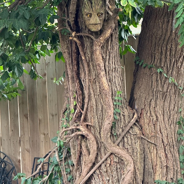 Willy the Tree Face. Funny Faces for Trees. Outdoor Sculpture, Statue ...