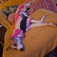 Greyhound Stripes Fleece - Etsy UK