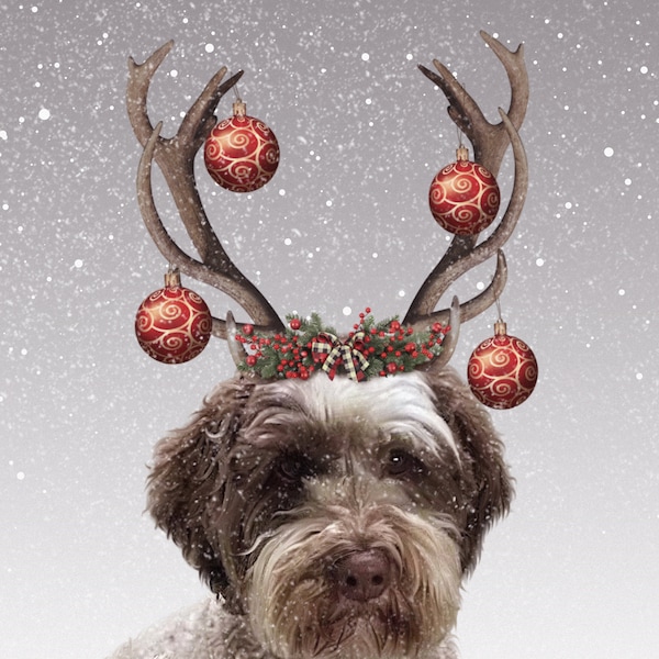 My Pet Reindeer, Pet Portrait From Photo, Digital Christmas Portrait ...