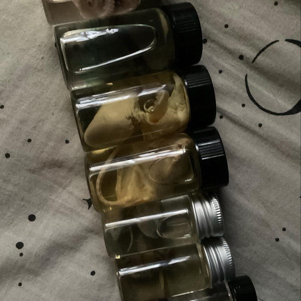 Blue Octopus Wet Specimen on Gothic Stand Oddities Collector Unique ...