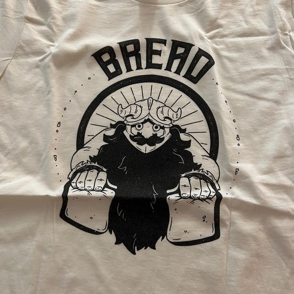 Stormlight Archive Shirt, Kaladin Stormblessed Shirt, Brandon Sanderson ...