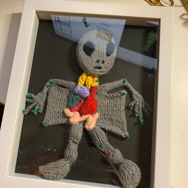 Knitted Dissected Bat Specimen - Etsy