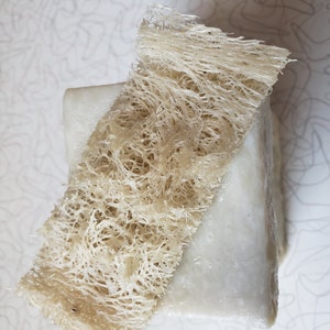 8 Oz. Pulverized Powder Loofah - Etsy