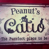 Catio Sign the Catio the Purrfect Place to Be Cute Catio Sign Vintage ...