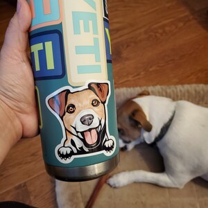 Heifer Sticker Cow Sticker Animal Water Bottle Sticker - Etsy