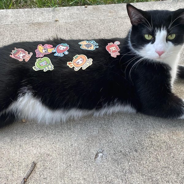 Fruit Cat Stickers Aesthetic Cute Stickers Sticker Pack - Etsy