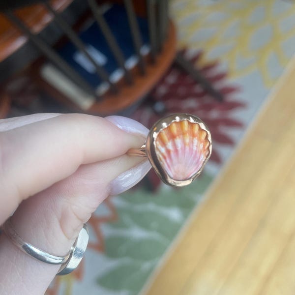 Sterling Silver Cowrie Seashell Rings - Etsy
