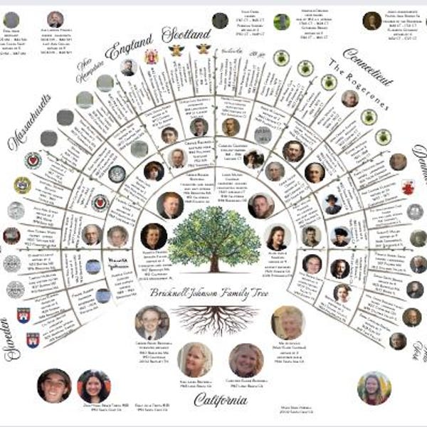 Spring Tree Family Template - Canva Tree Chart - 7 Generations - 36 X ...