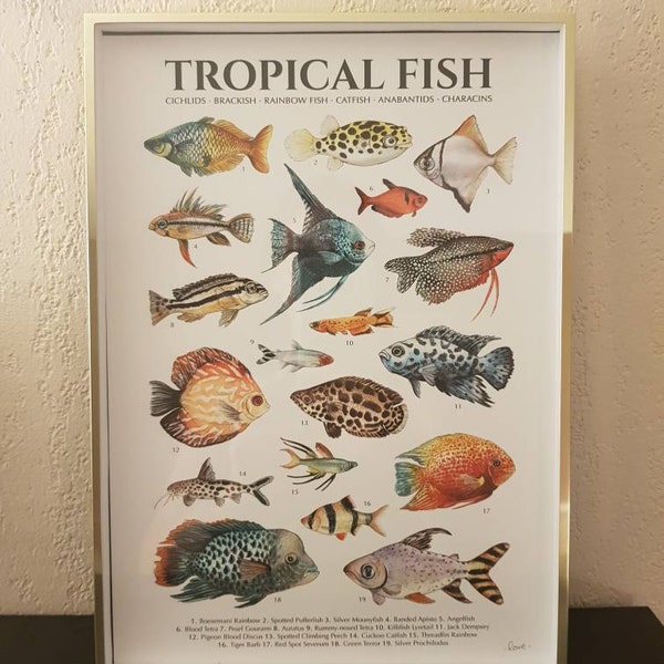 Tropical Fish Print, Fish Poster, Giclée Print, Nursery Decor, Tropical ...