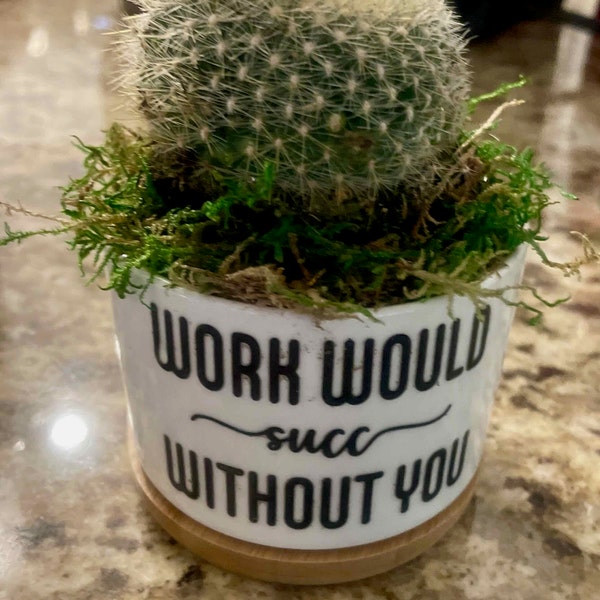 Serial Plant Killer Succulent Planter Pot, Funny Plant Pot, GAG Gift ...