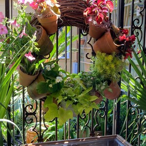 Rustic Thick Grapevine Craft Sticks Supply Wood Planter Spikes ...