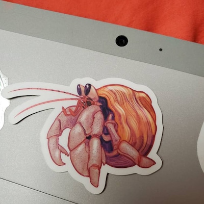 Hermit Crab in Shell Sticker, Crab Decal, Waterproof Vinyl Sticker for ...