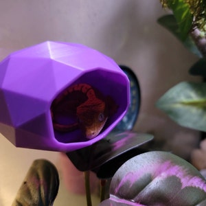 Repti Vent DIY Reptile Threaded Terrarium Air Vents 2x Pack | Etsy