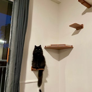 Corner Cat Shelf With Pillow Cat Corner Wall Bed Corne Cat Shelf for ...
