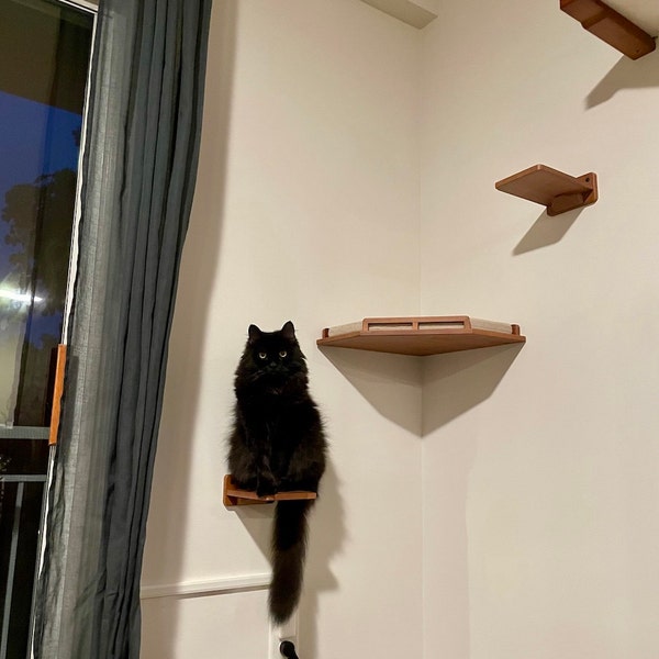 Cat Bed and Steps, Cat Shelves for Wall, Сat Platform, Cat Wall Shelf ...