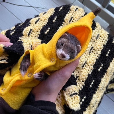 Ferret Costume Halloween Pet Clothes for Ferrets. Bat Wings. Harness ...