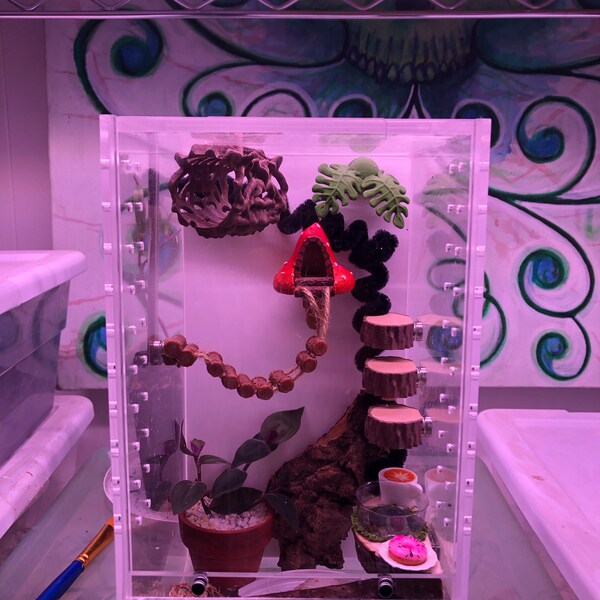 3D Printed Hollow Log Platform and Hide Jumping Spider Decor - Etsy