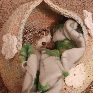 Crochet Small Animal Pod Slouchy Pod Rat Pod Rat Hammock - Etsy