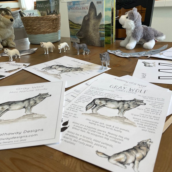 Gray Wolf Mini Nature Study - Etsy