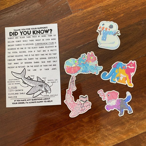 Paleo Party Mystery Pack Set of 4, 6, and 10 Randomly Selected ...