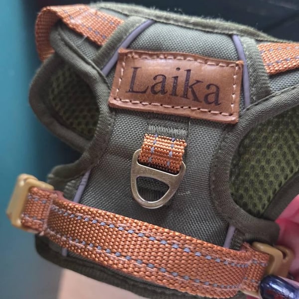 Personalized Pet Harness, Night Reflective Collar With Customized Name ...