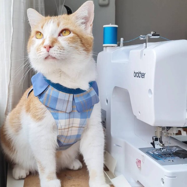 Cozy Cat Harness: Digital Sewing Pattern - Etsy