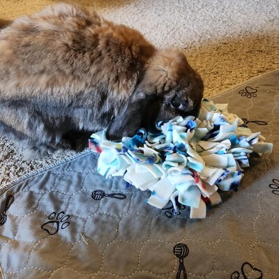 Seagrass Enrichmat™ Snuffle Mat Foraging & Enrichment Mat Well Kept ...