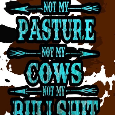 Country Song Svg Country Music SVG Country Concert SVG Rodeo Concert ...