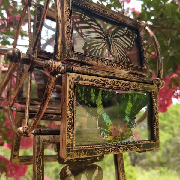 Butterfly Ferris Wheel Display – One of a Kind (butterflies Vary ...