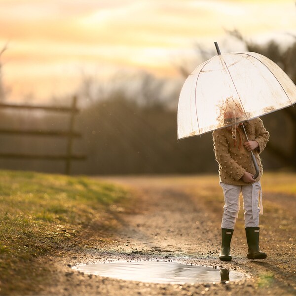 Sunlight Overlays, Photoshop Overlays, Sun Ray Overlays, Sunshine ...