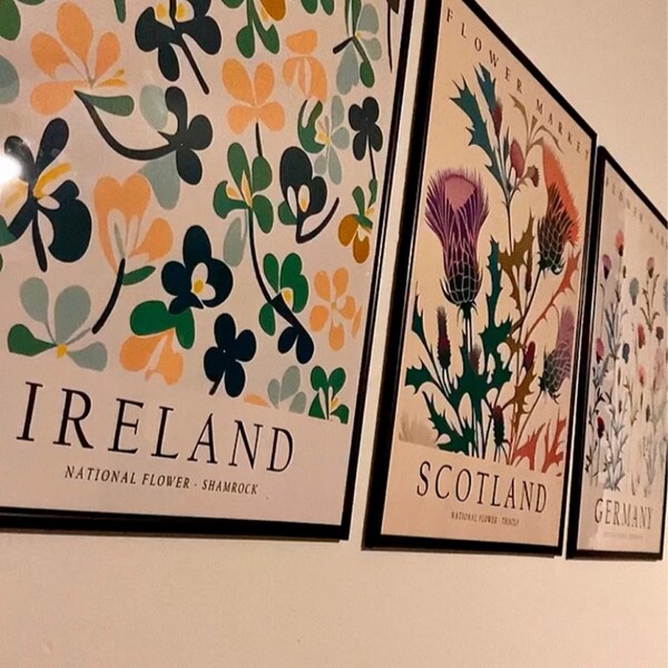 Ireland National Flower, Ireland Flower Market Art Print, Shamrock 1960 ...