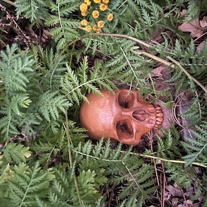 Garden Skull, Creepy Garden Decor, Garden Gifts, Halloween Garden Decor ...