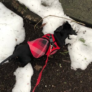 University of Michigan Dog Coat - Etsy