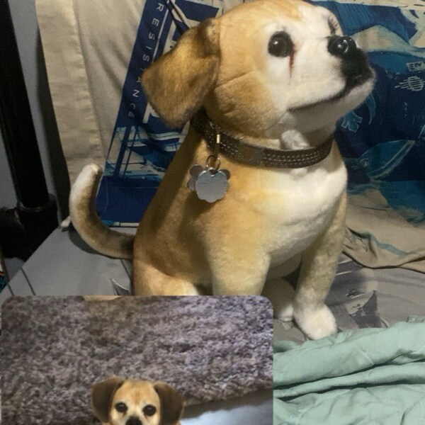 Custom Stuffed Animal, Custom Stuffed Dog Replica Plush Custom Pet ...