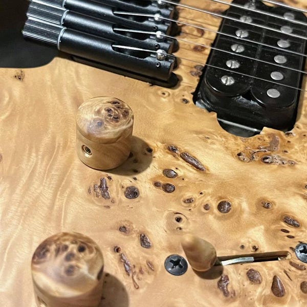 MOP Dolphin in Rosewood Guitar Knob - Etsy