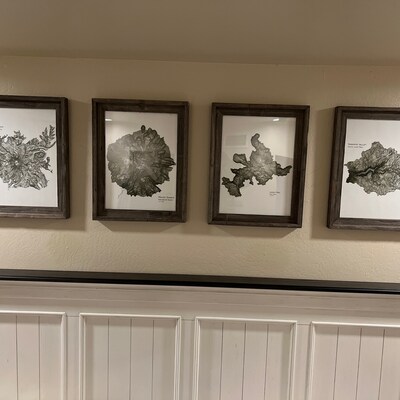 Red River Gorge Map Art Appalachian Wall Poster Kentucky - Etsy