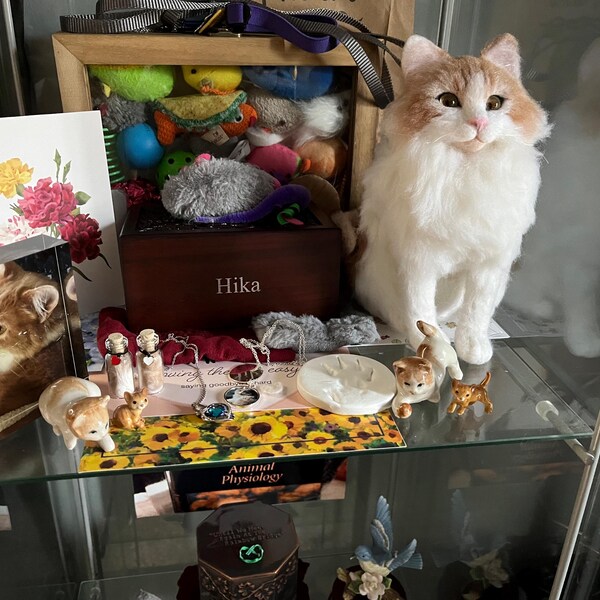 Cat Loss Memorial, Custom Stuffed Pet of Your Dog Cat, Handmade Pet ...