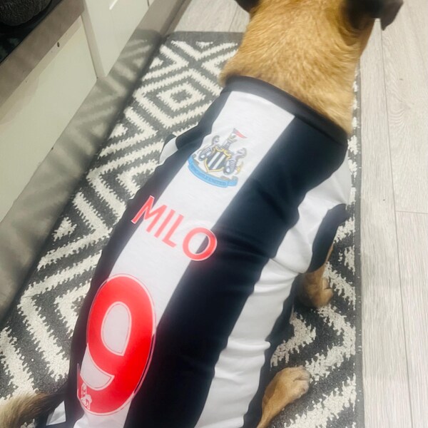 Liverpool FC -inspired Personalised Pet Tank Top With Original FC Logo ...