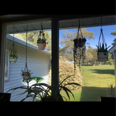 Illustrated Hanging Plants Window Stickers Reusable No Adhesive Double ...