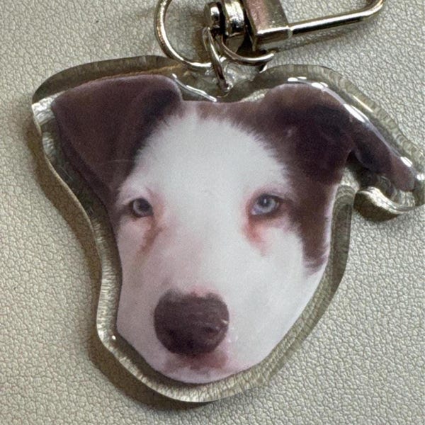 Custom Pet Photo Keychain, Acrylic Keychian, Dog Portrait Keychain ...